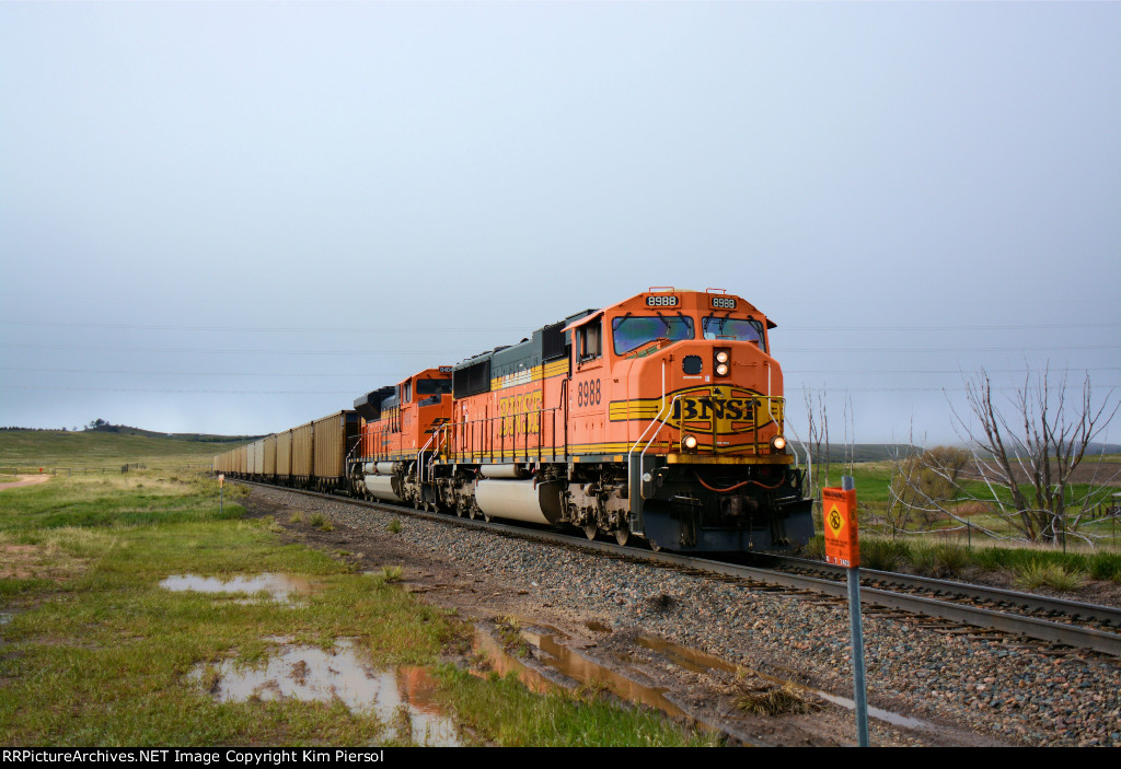 BNSF 8988 Coal Empties